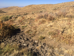 FIELD Report: Argenta, Nevada Rat Fink Headwaters | WildLands Defense